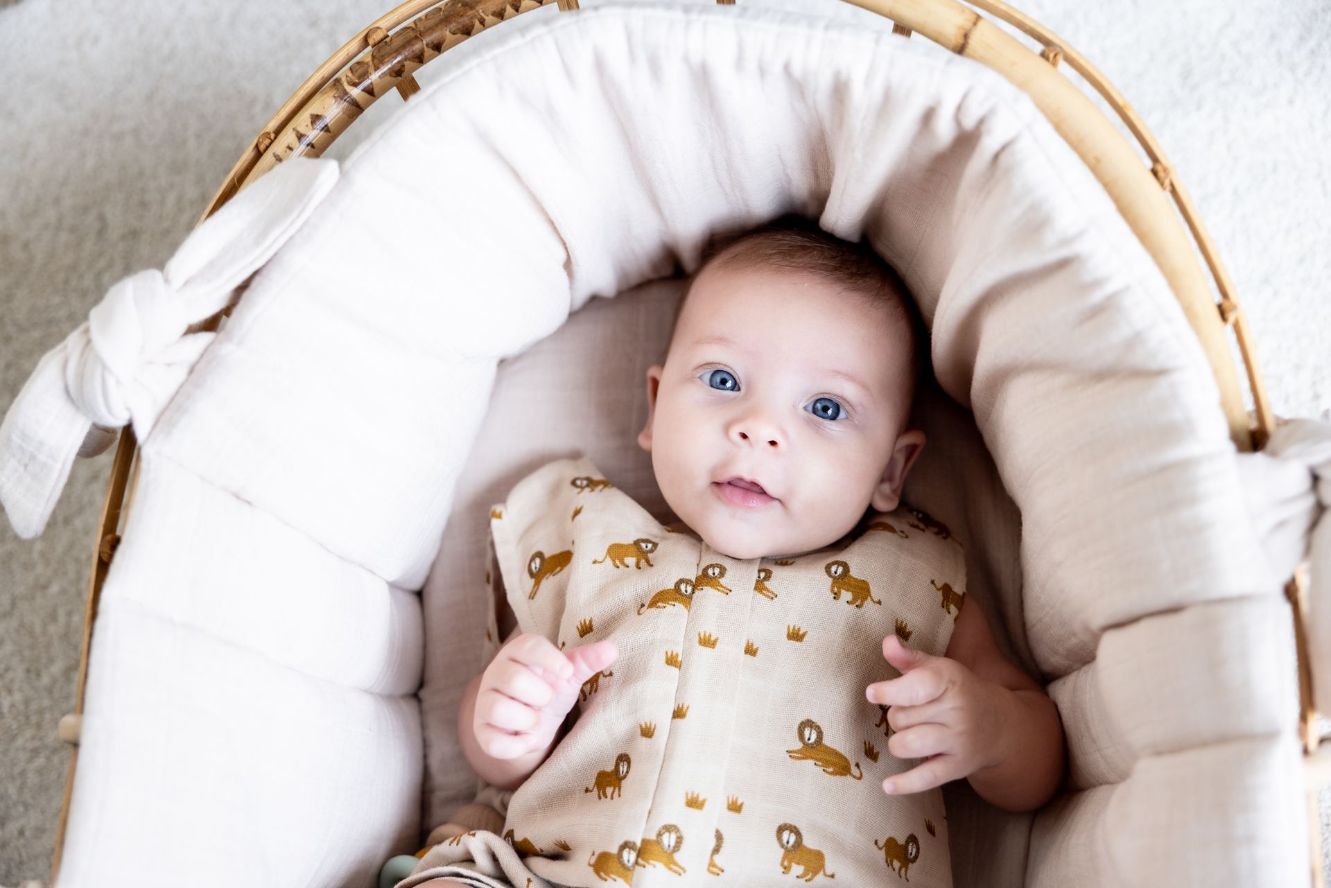 Babee World - Jouw one stop baby shop | Babee World